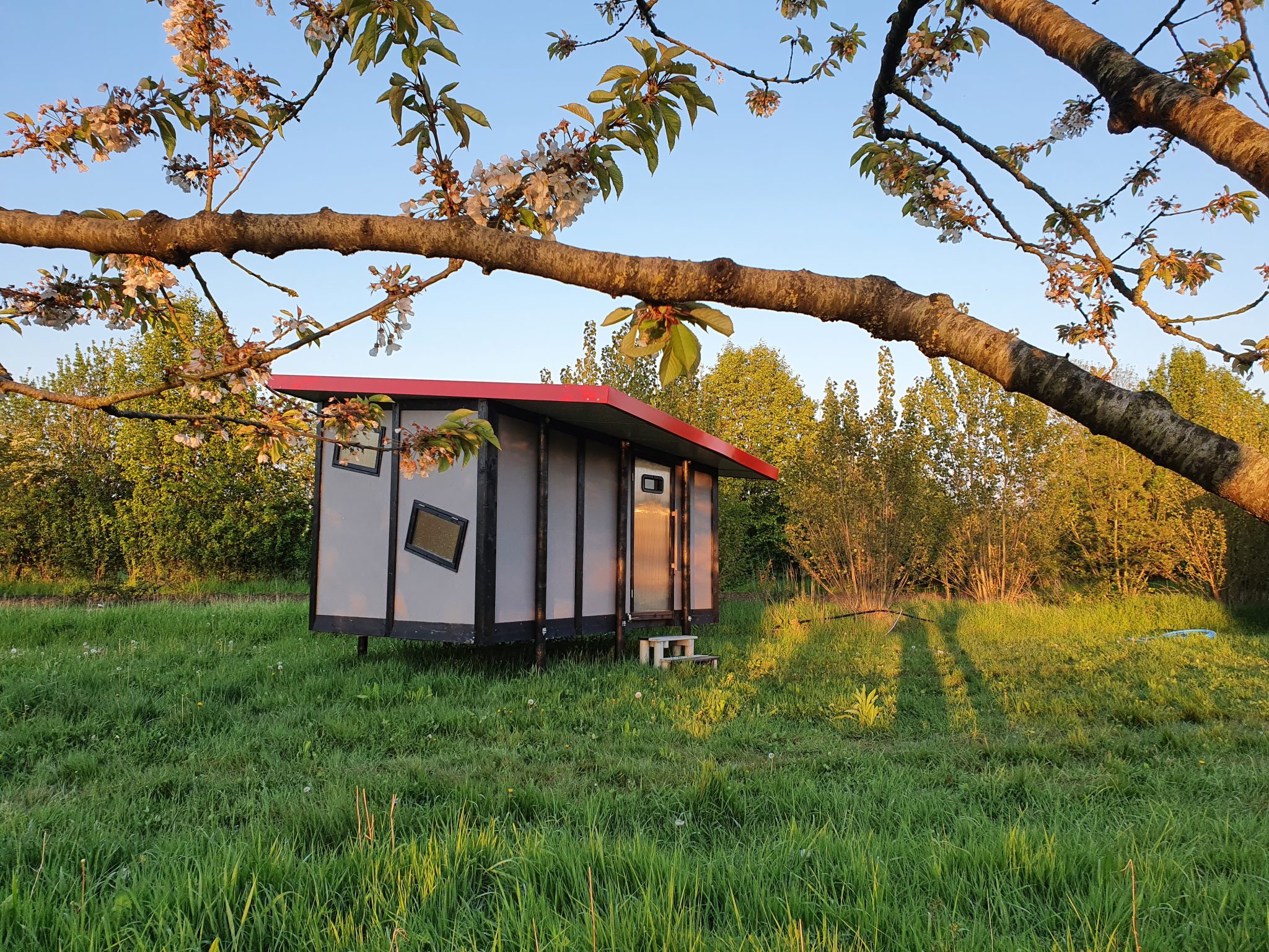 Wakelyns - Agroforestry Open Weekend 2024