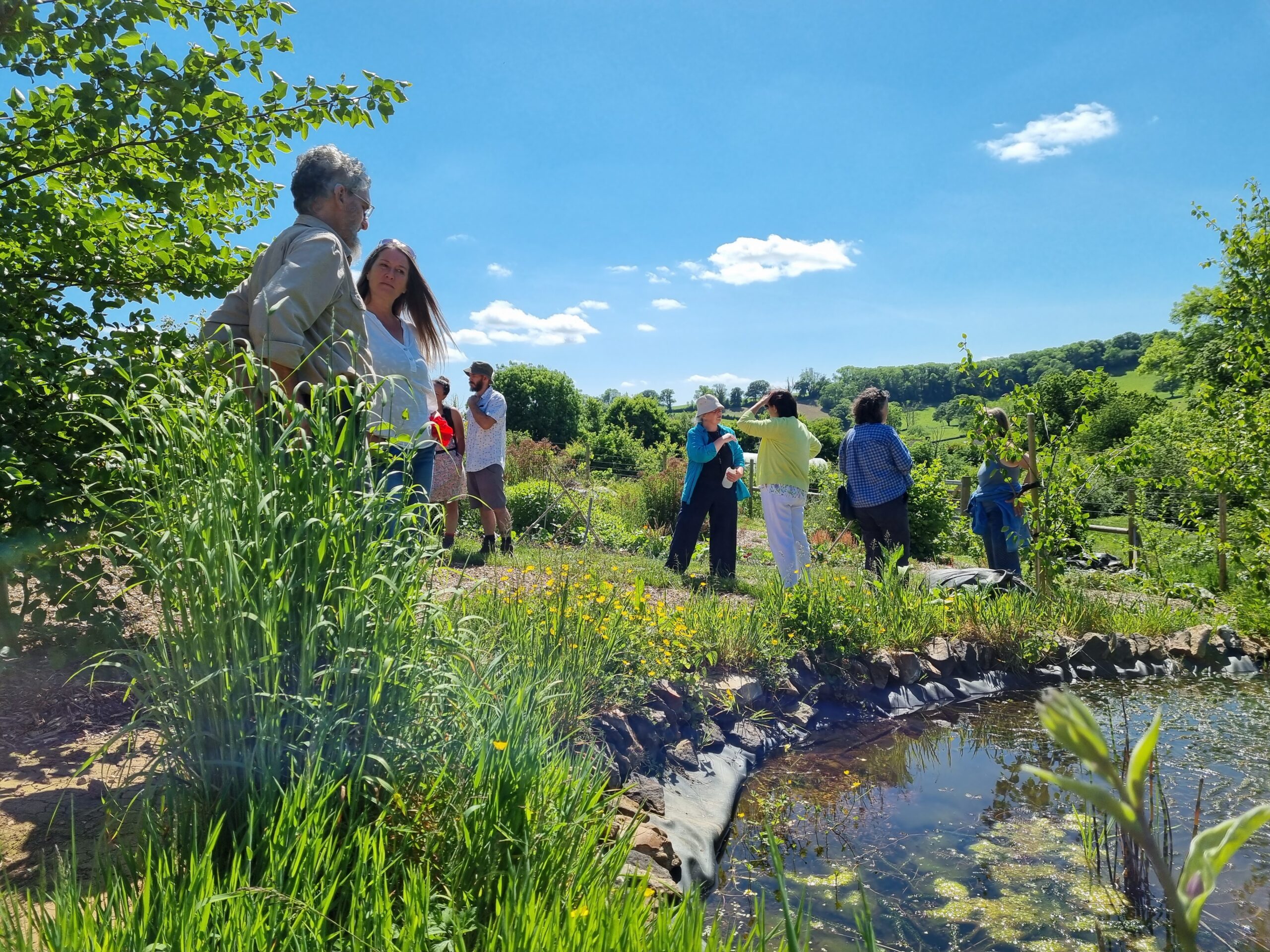 Creative Beings CIC - Agroforestry Open Weekend 2025