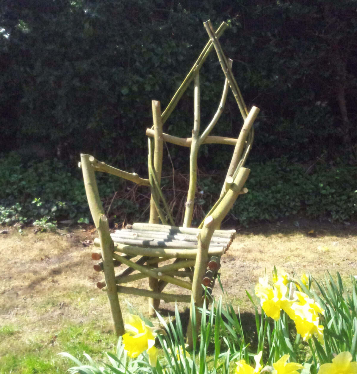 Wakelyns - Agroforestry Open Weekend 2024