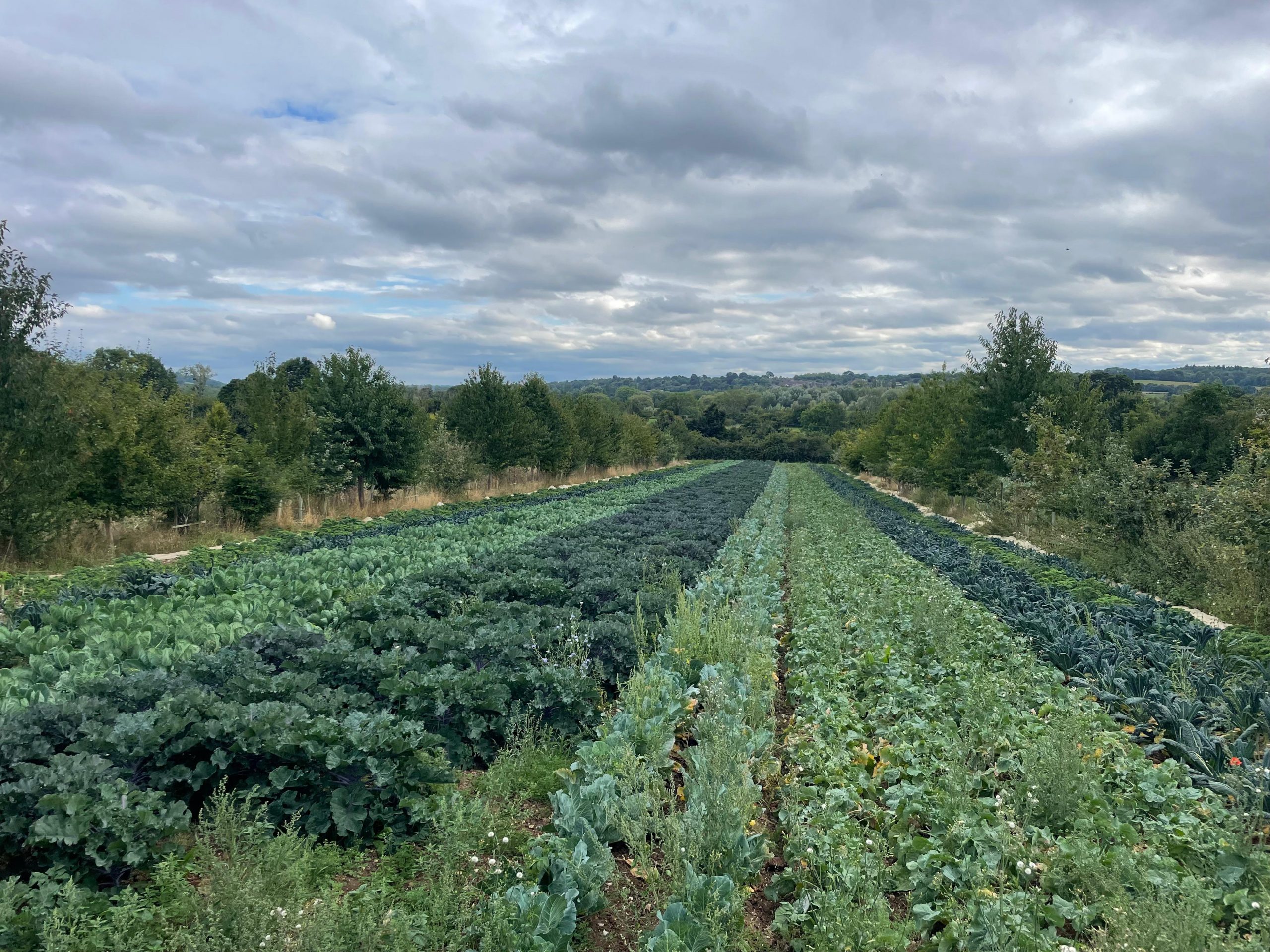 Tolhurst Organic - Agroforestry Open Weekend 2026
