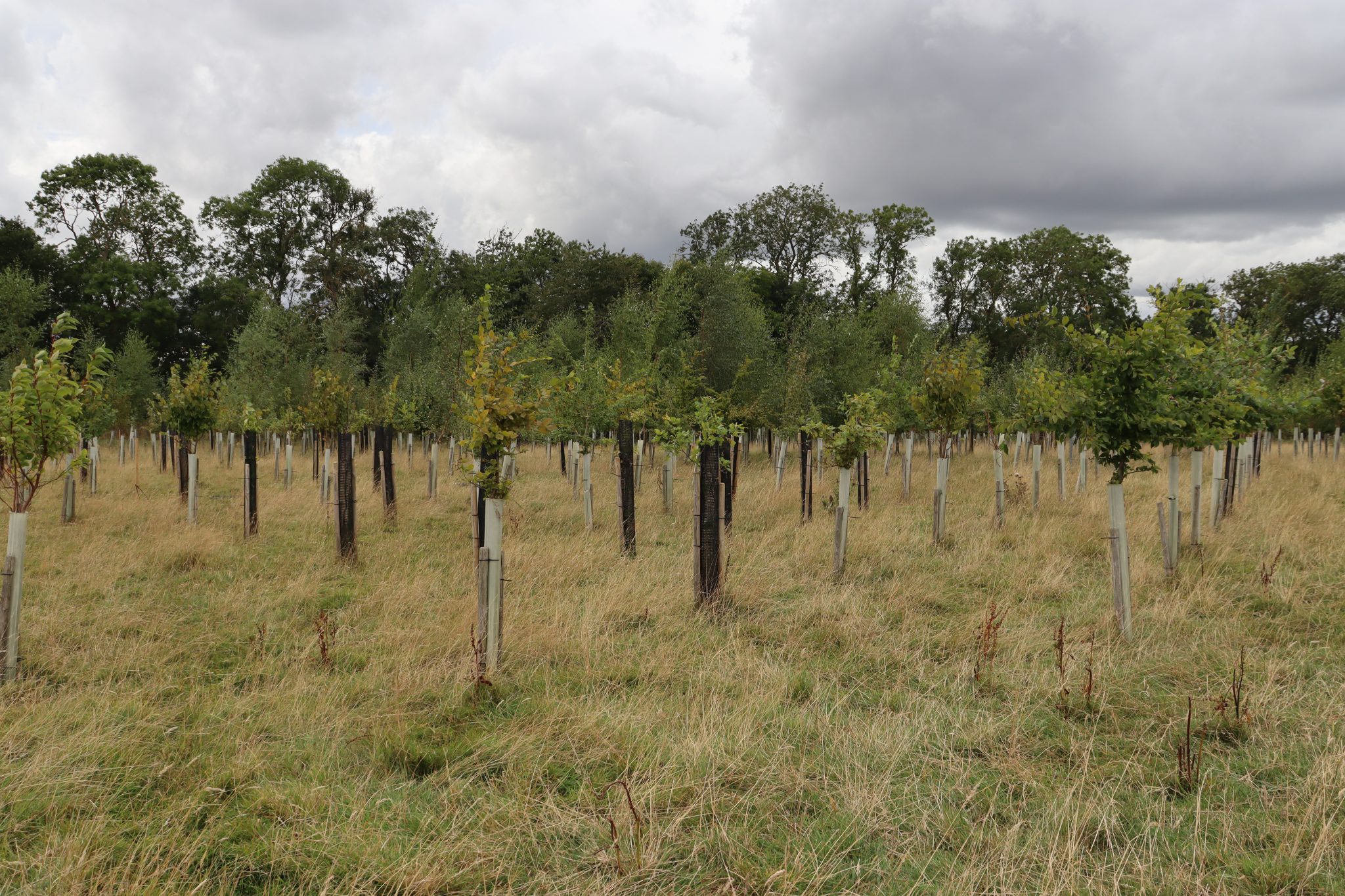The Allerton Project - Agroforestry Open Weekend 2025